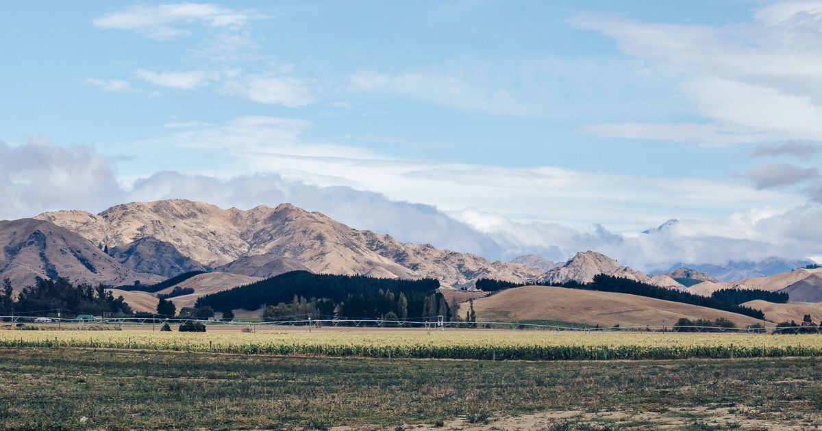 Trelawne | Awatere Valley, Marlborough, NZ| Astrolabe Wines